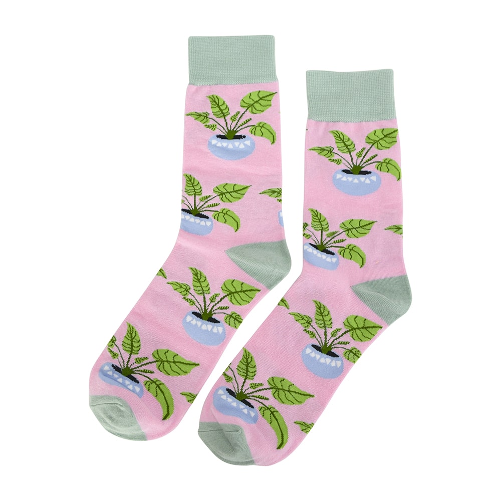 You Grow Girl Socks – Village Home & Living